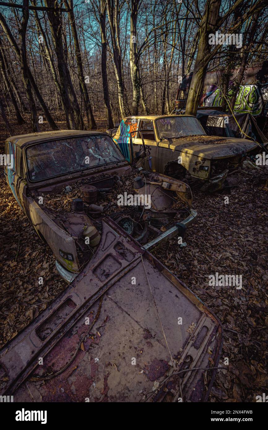 This stock photo features cars parked on the ground in a wooded area ...