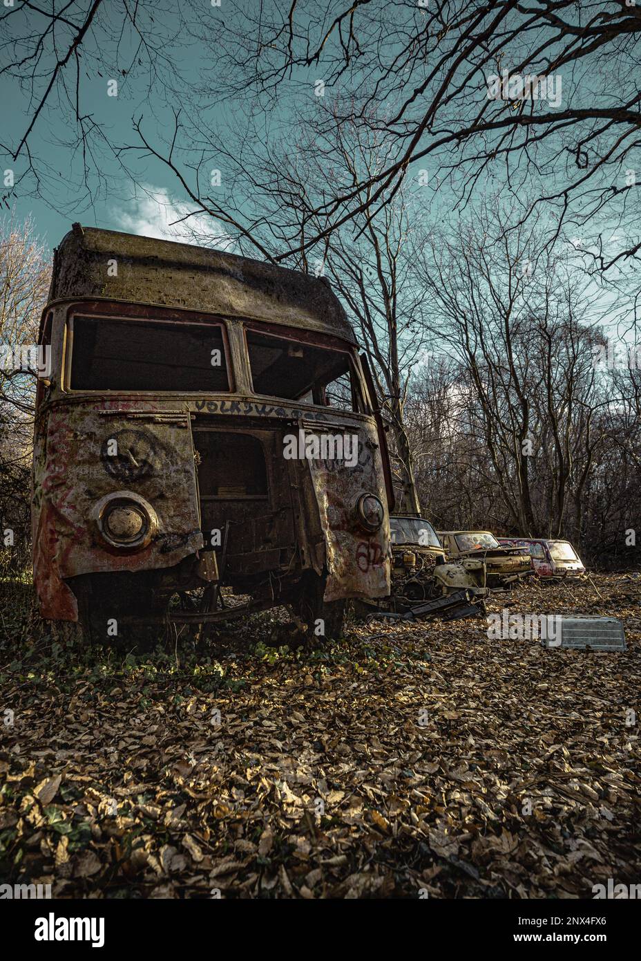 This beautiful old bus is parked under trees on the forest ground Stock ...