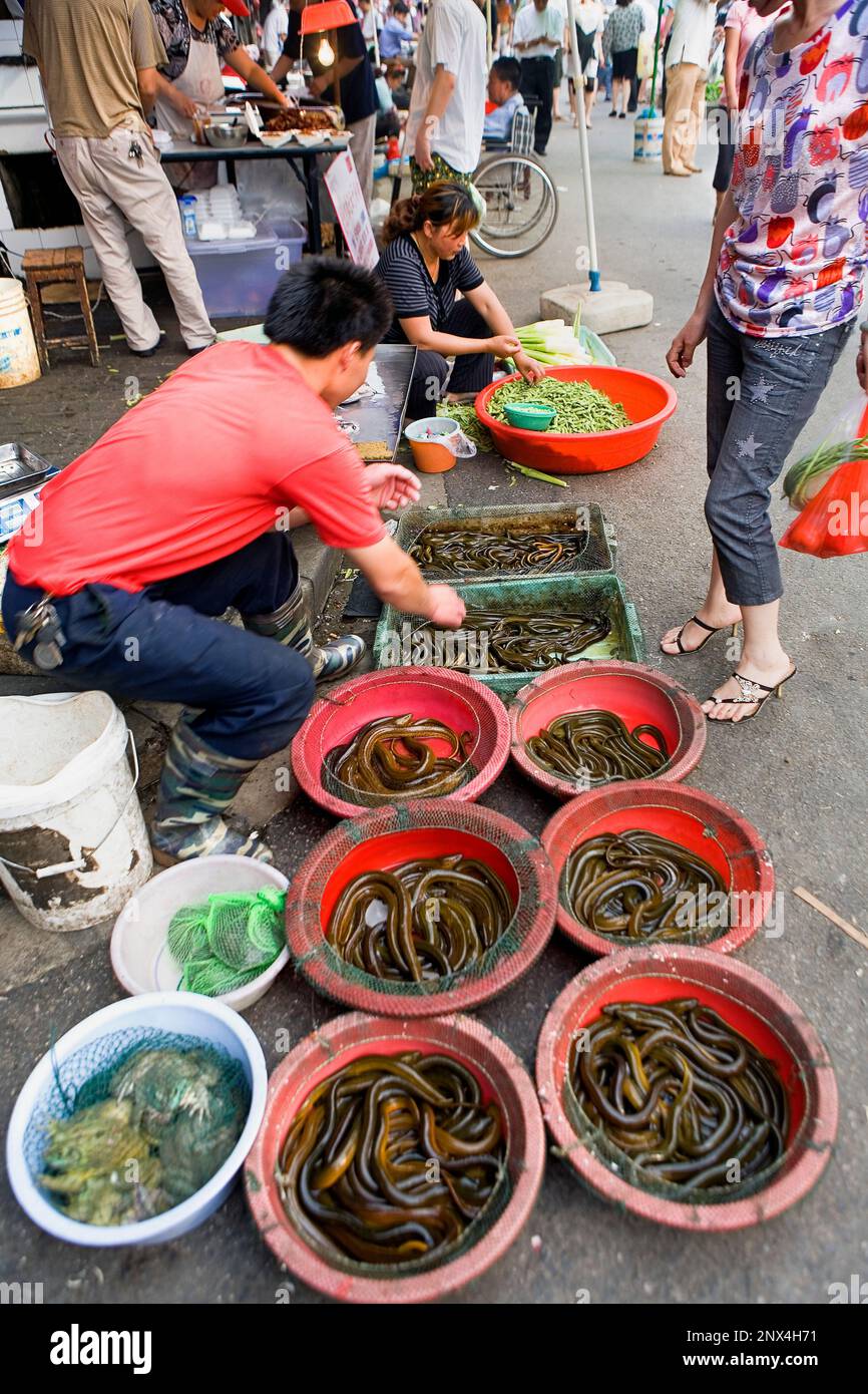 People buying snakes hi-res stock photography and images - Alamy