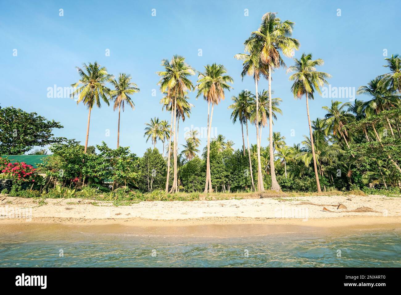 Beach palms from the sea at " Las Cabanas " seaside in El Nido Palawan ...