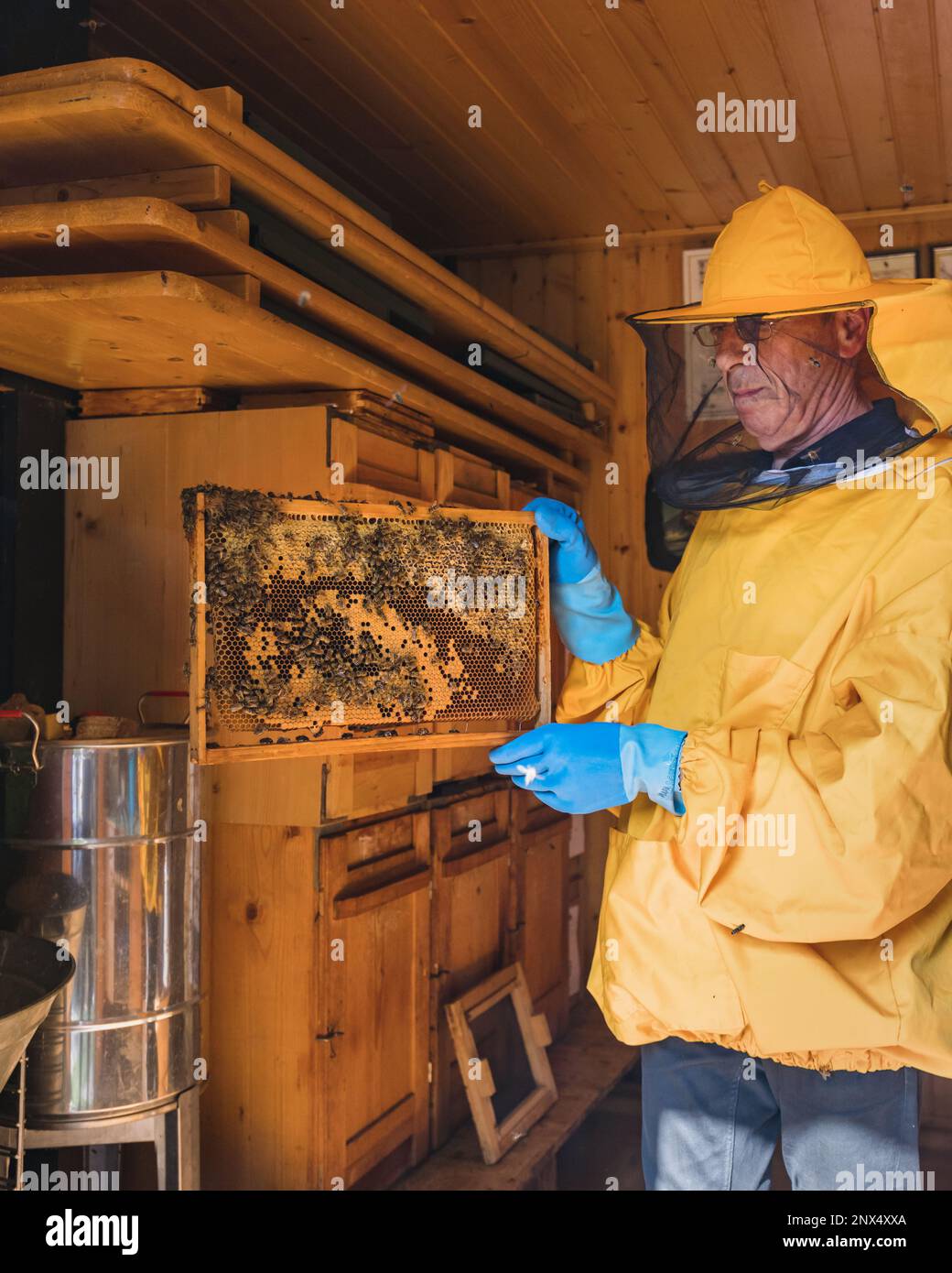 Comb gear hi-res stock photography and images - Alamy