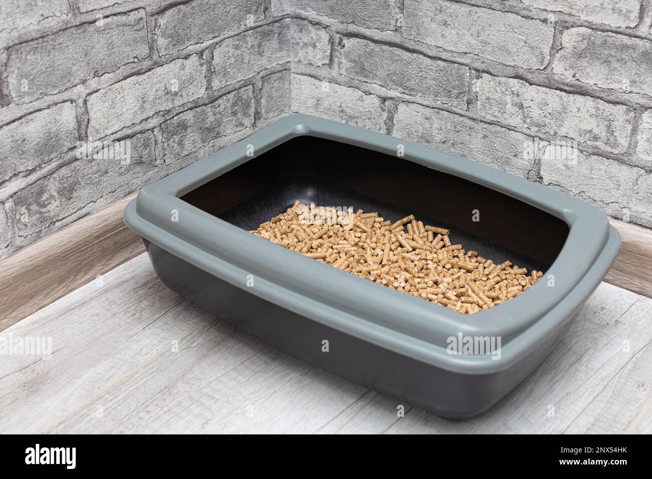 wood-filled cat litter is on the floor in the room Stock Photo - Alamy