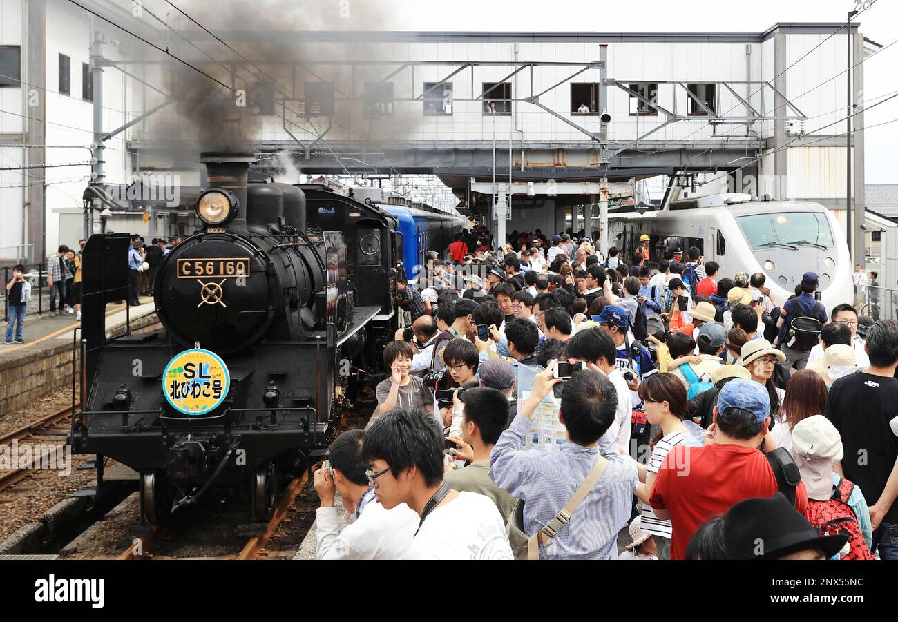 Steam locomotive (SL) Class C56, familiarly nicknamed "Pony", arrived ...