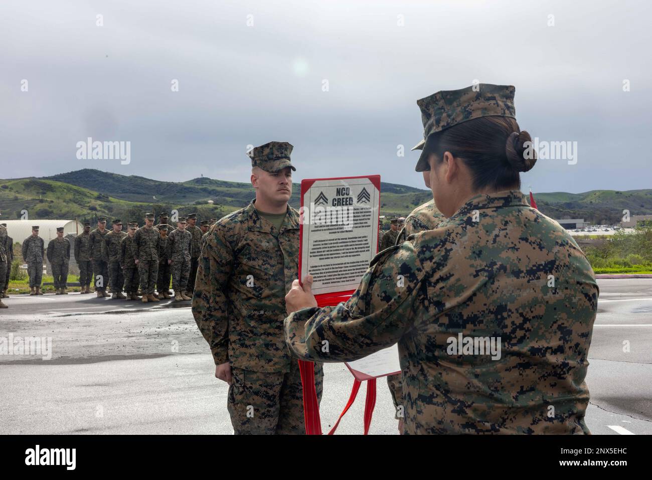 U.S. Marine Corps Sgt. Maj. Rosalia Scifo, sergeant major of 3rd Marine ...