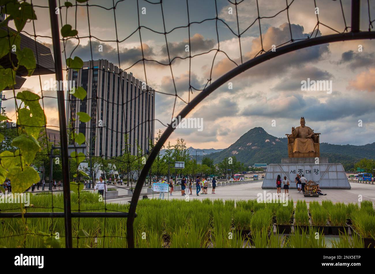Garden at Gwanghwamun Square, in background Golden statue of King Sae ...