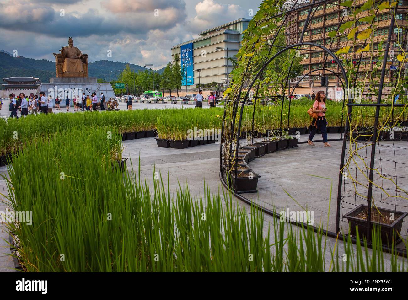 Garden at Gwanghwamun Square, in background Golden statue of King Sae ...