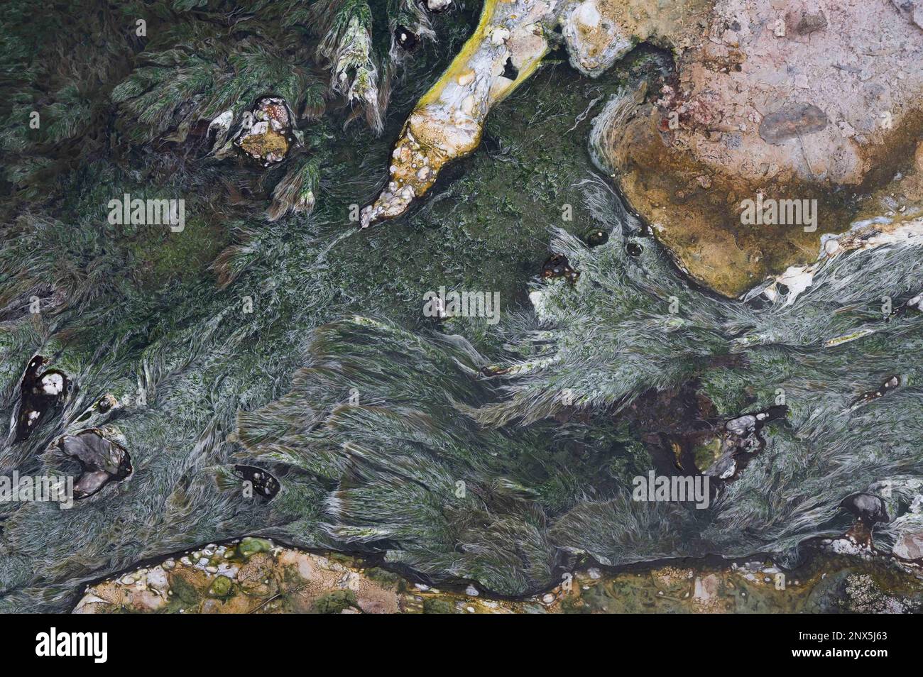 Hot Springs State Park in Thermopolis, Wyoming, has a multitude of hot ...