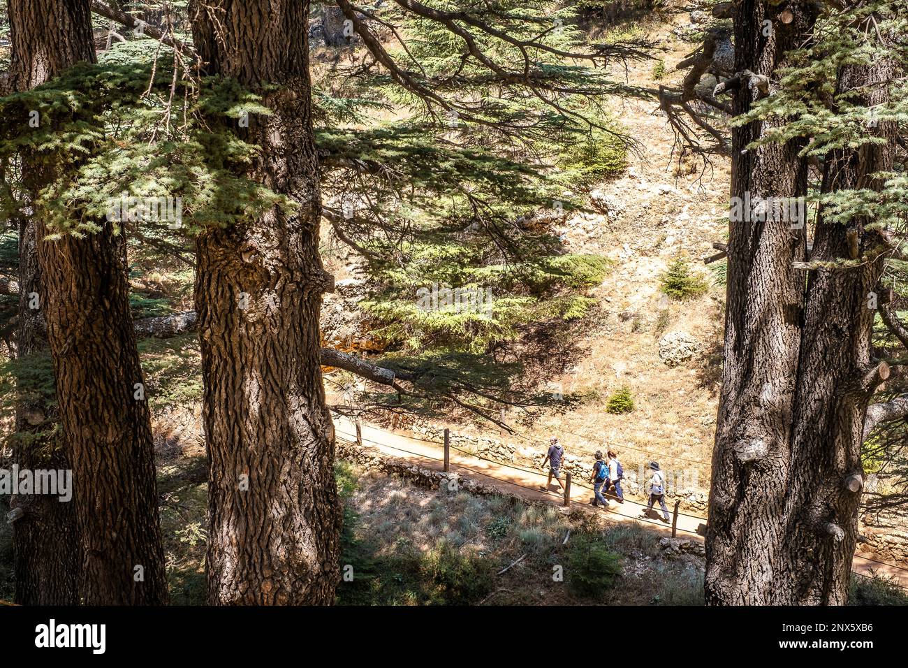 The Cedars (ARZ AL-RAB). Located around 5 km above Bcharré, Qadisha ...