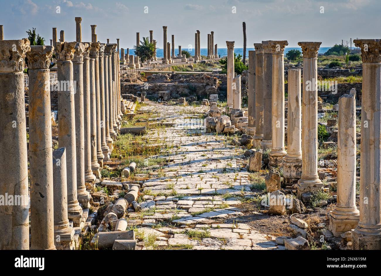 Al-Mina archaeological site, Tyre (Sour), Lebanon Stock Photo - Alamy