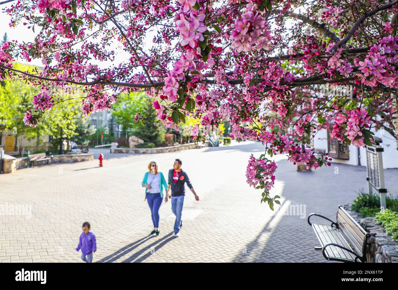 Laura, Luis and Itzel, 1, De La O of Santa Clara, Cal., stroll down ...