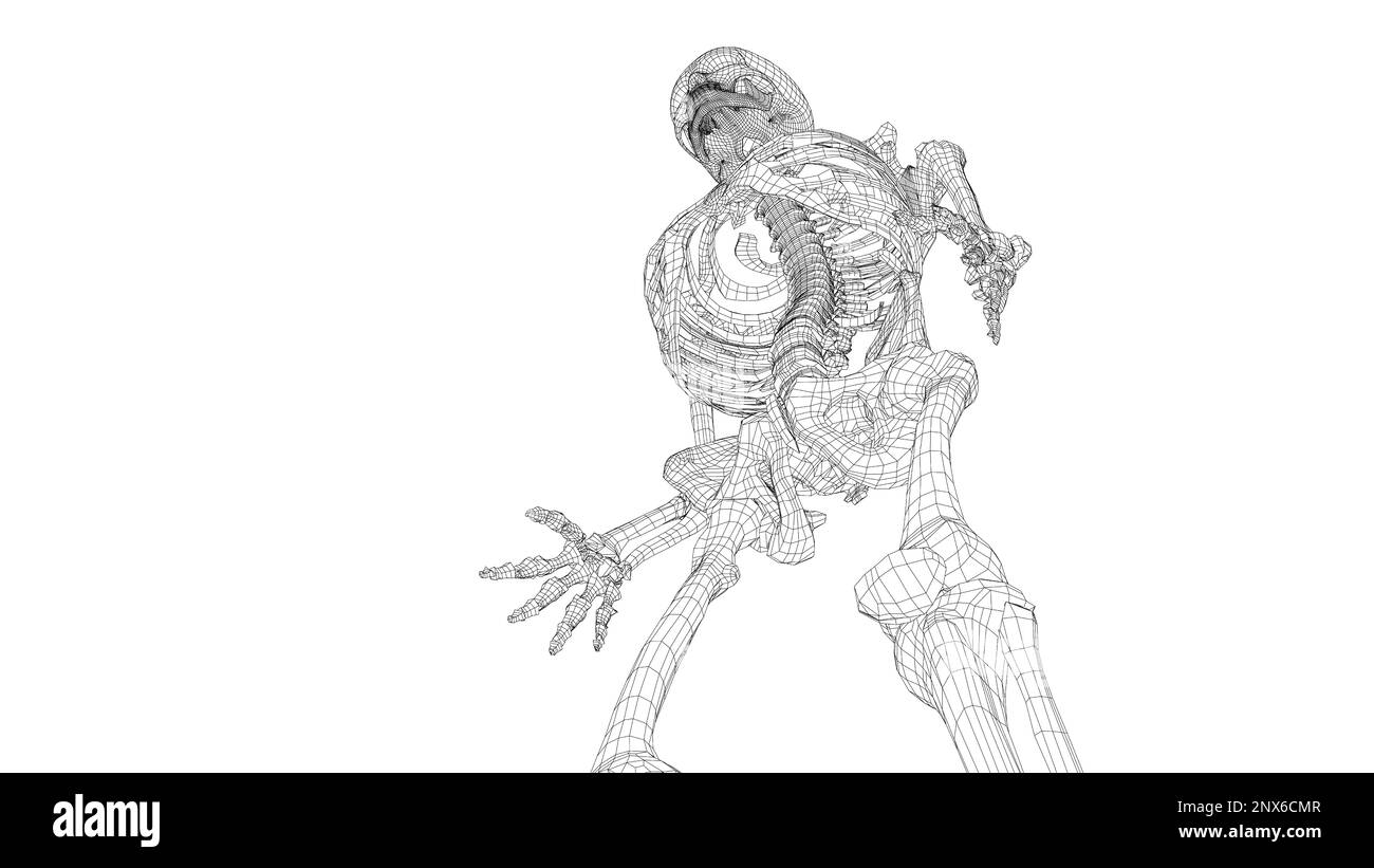 Human skeleton. 3d illustration Stock Photo - Alamy