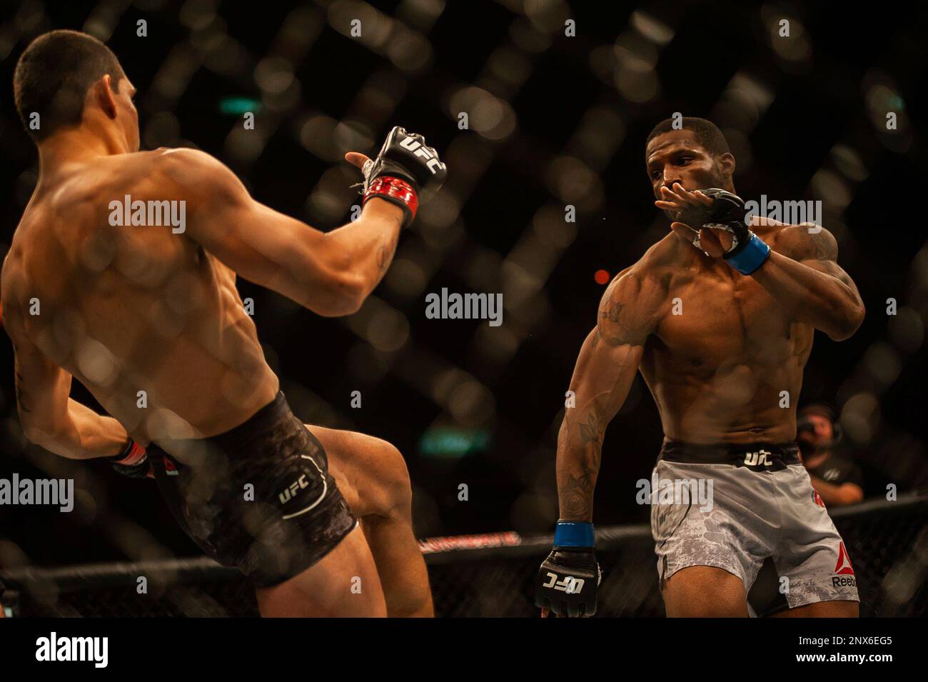 UFC 224 Nunes X Pennington - Brazilian Cezar Mutante defeated Karl ...