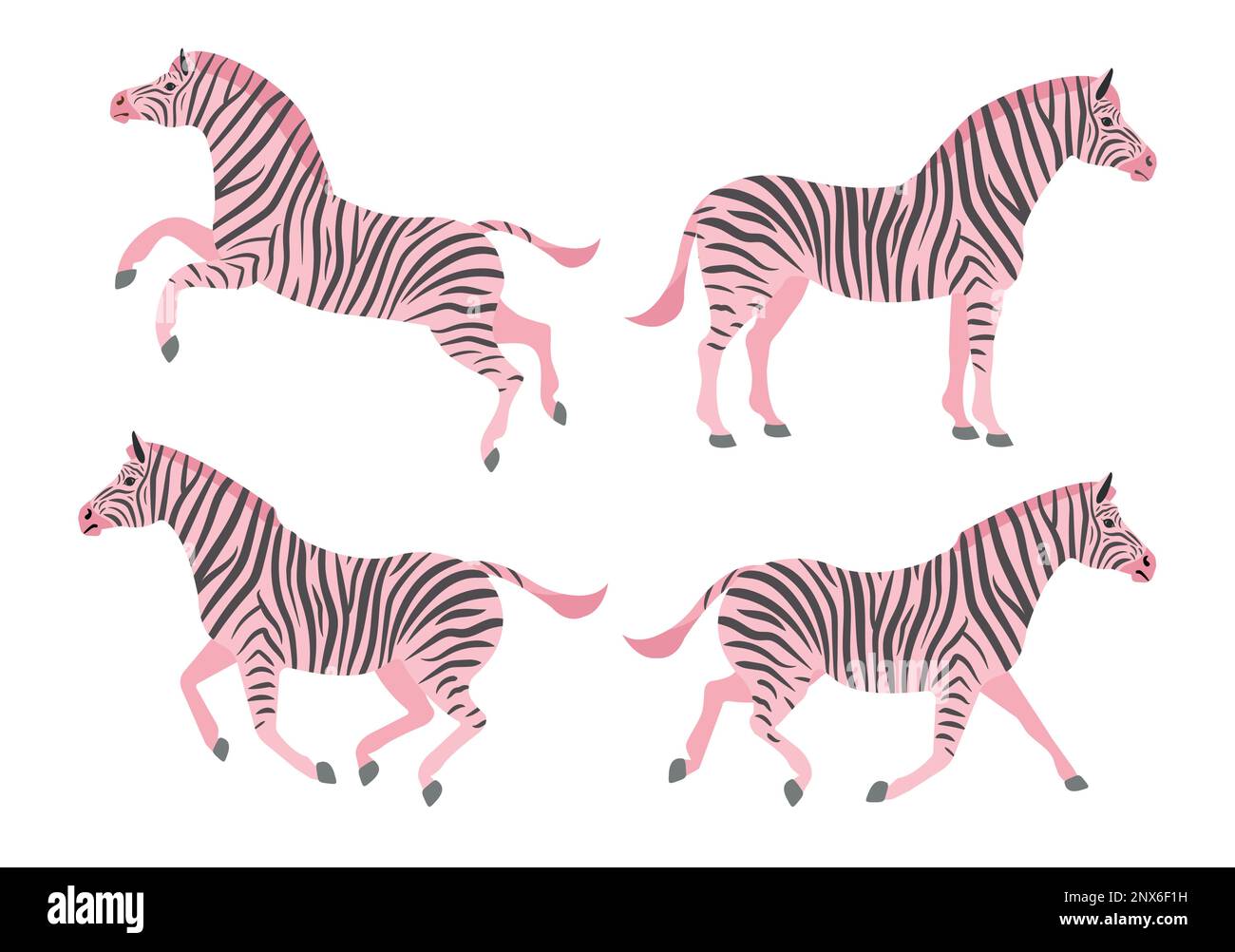Pink Zebra Clipart
