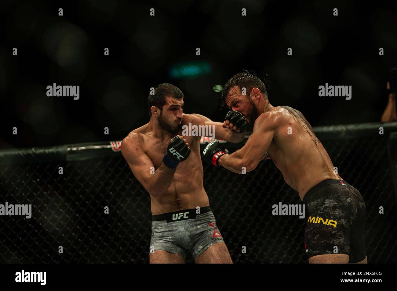 UFC 224 Nunes X Pennington - Russian Ramazan Emmev defeated Brazilian ...
