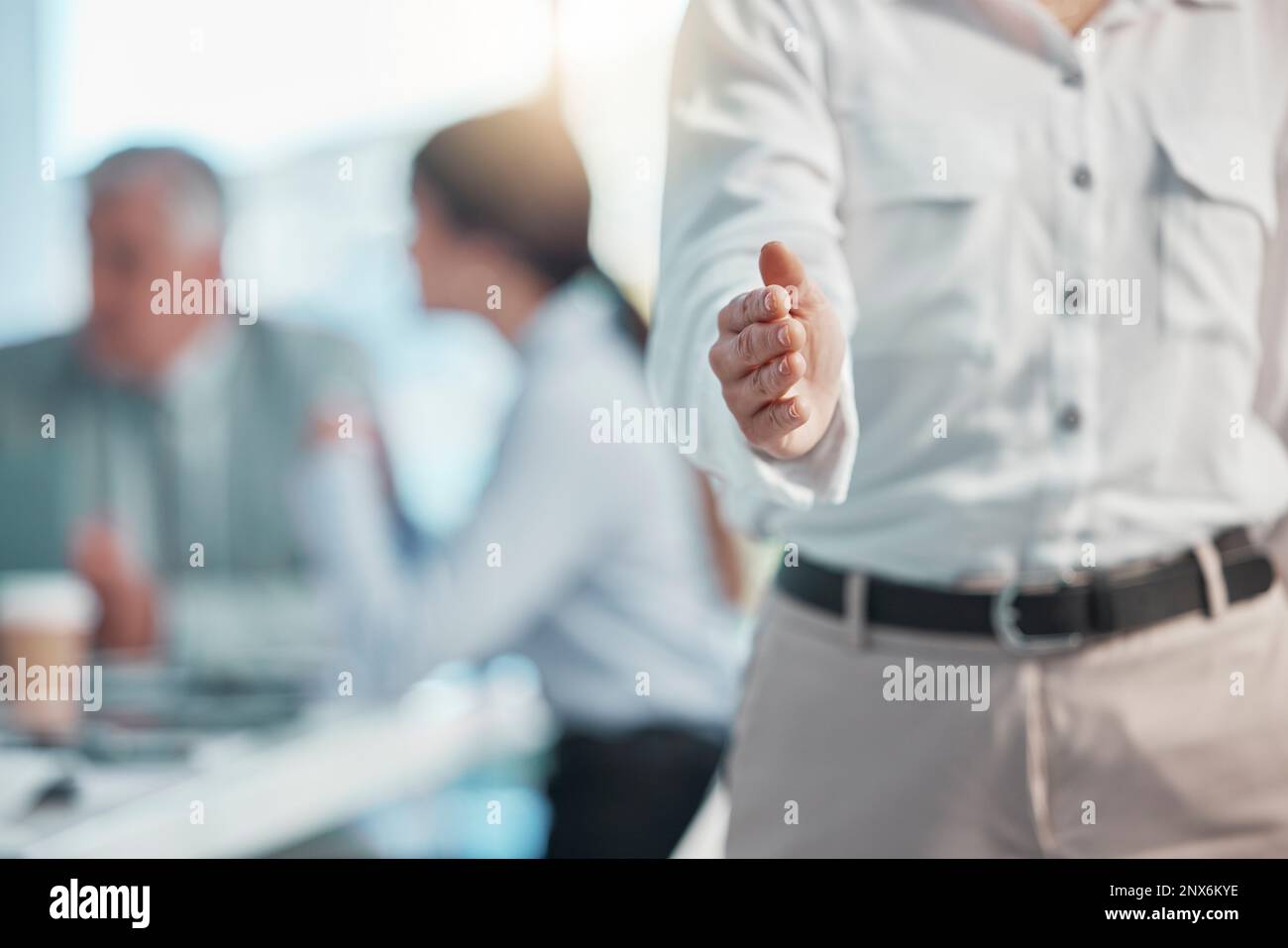 Business person, handshake and greeting for b2b, partnership or meeting ...