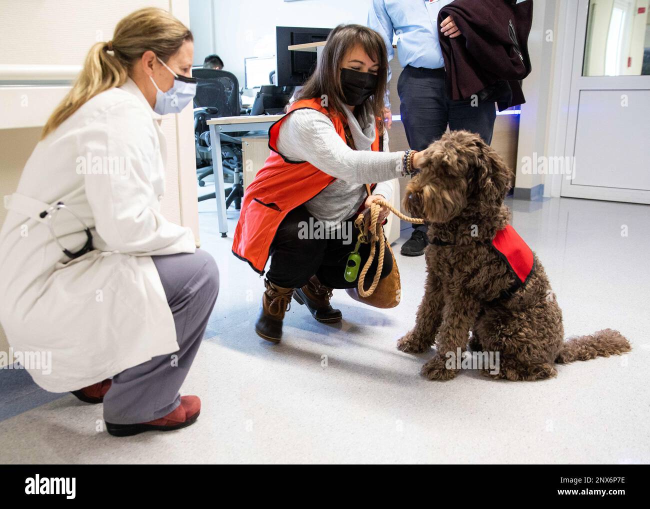 Staff at Landstuhl Regional Medical Center’s Medical-Surgical Ward ...