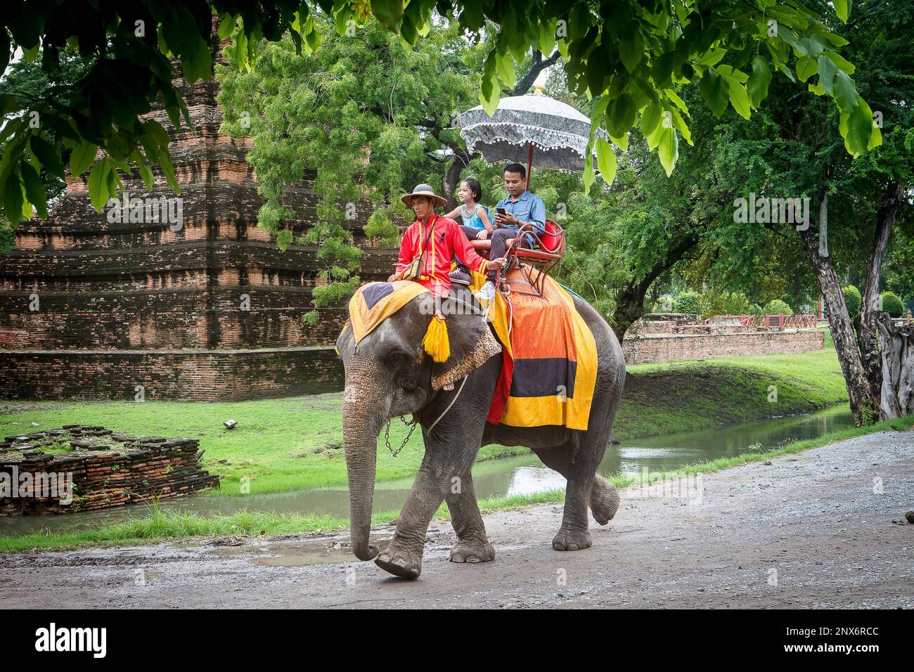 Elephant Ride, Ayuthaya, Thailand Stock Photo - Alamy