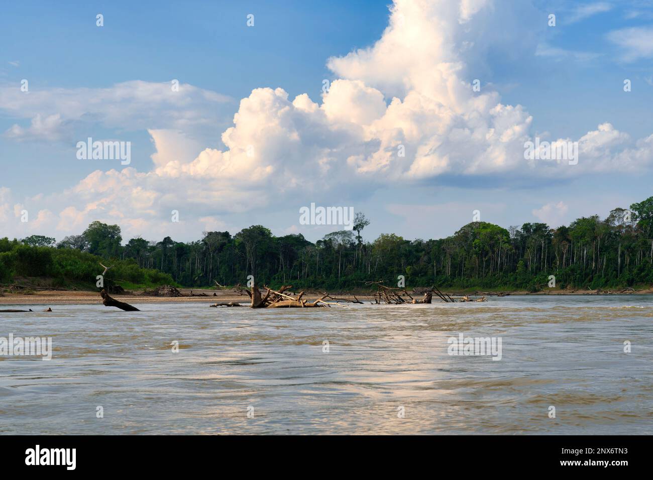Amazon Tropical rain Forest along the Rio Colorado, Peruvian Amazon ...