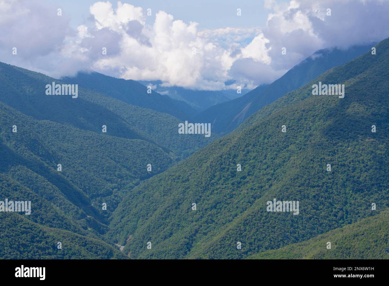 Tropical Cloud Forest landscape, Manu National Park, Peru Stock Photo ...