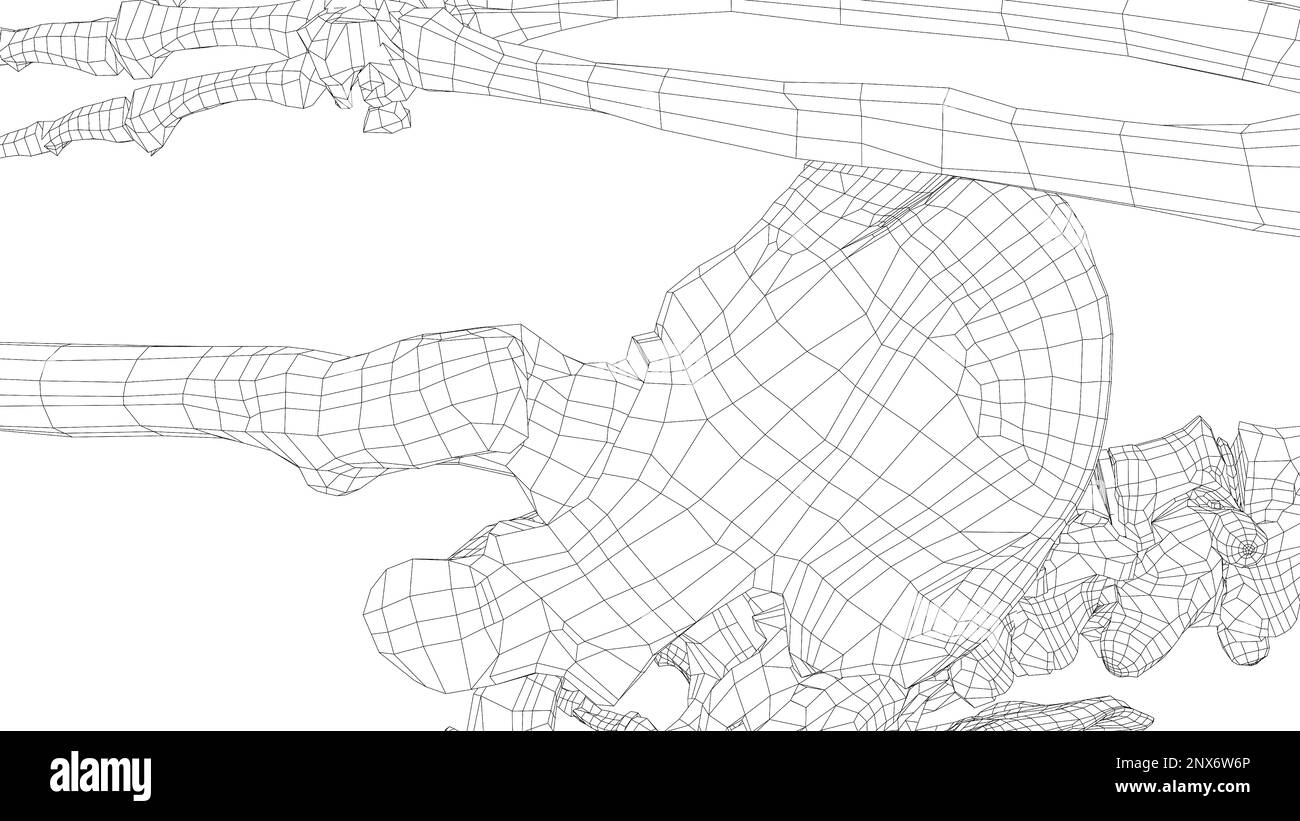 Human skeleton. 3d illustration Stock Photo - Alamy