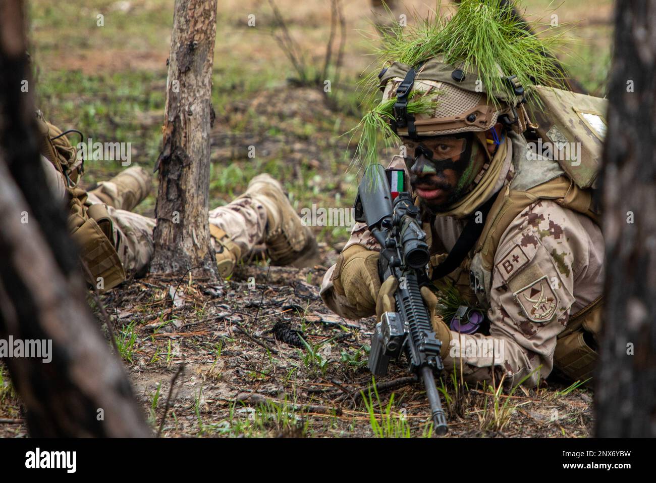 United Arab Emirates soldiers from the 11th Mountain Battalion bound in ...