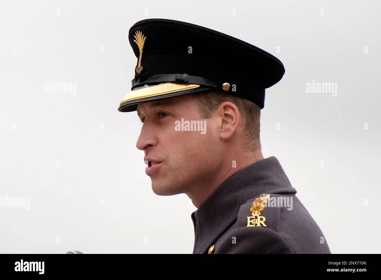 The Prince of Wales, Colonel of the Welsh Guards, speaks during a visit ...