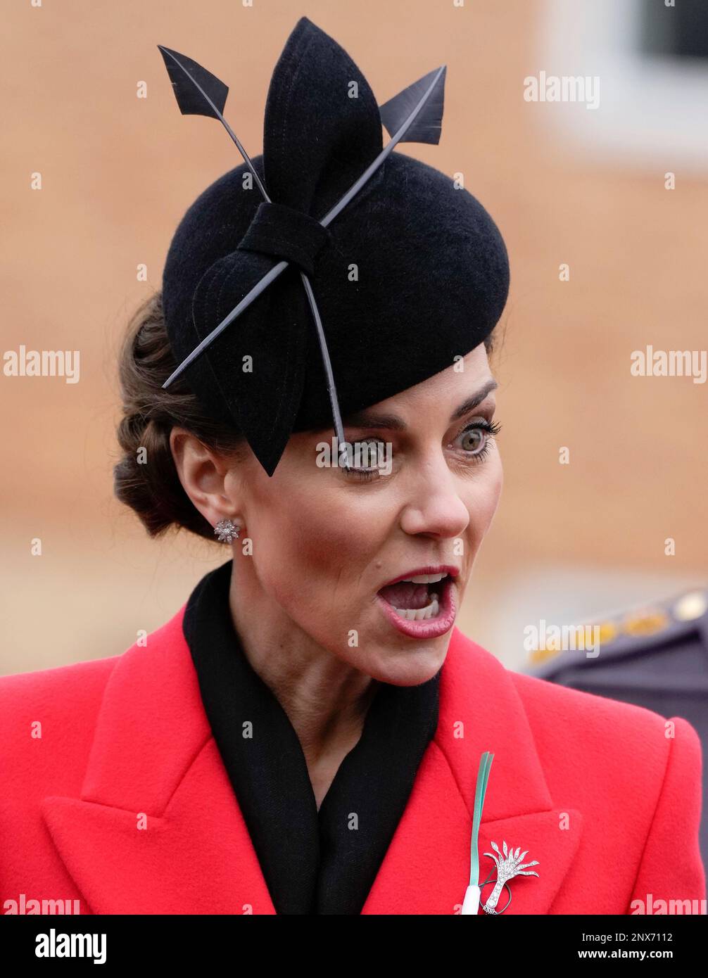 The Princess of Wales, watching the St David's Day Parade during a ...