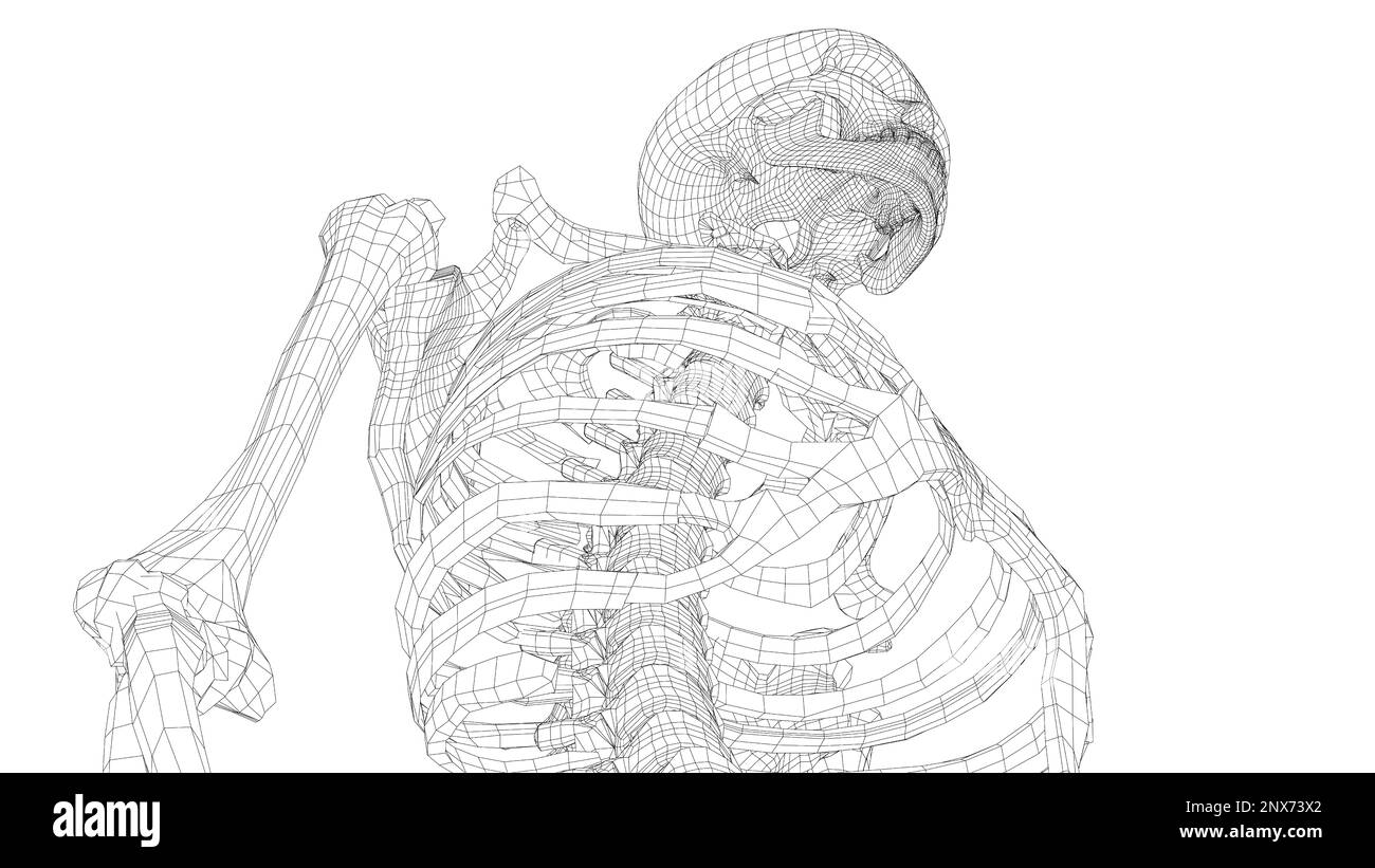 Human skeleton. 3d illustration Stock Photo - Alamy