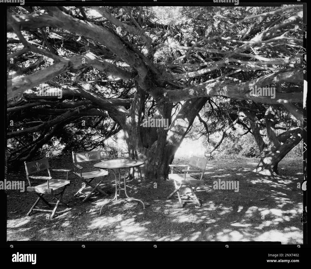 Tallwood, Green Mountain, Albemarle County, Virginia. Carnegie Survey ...