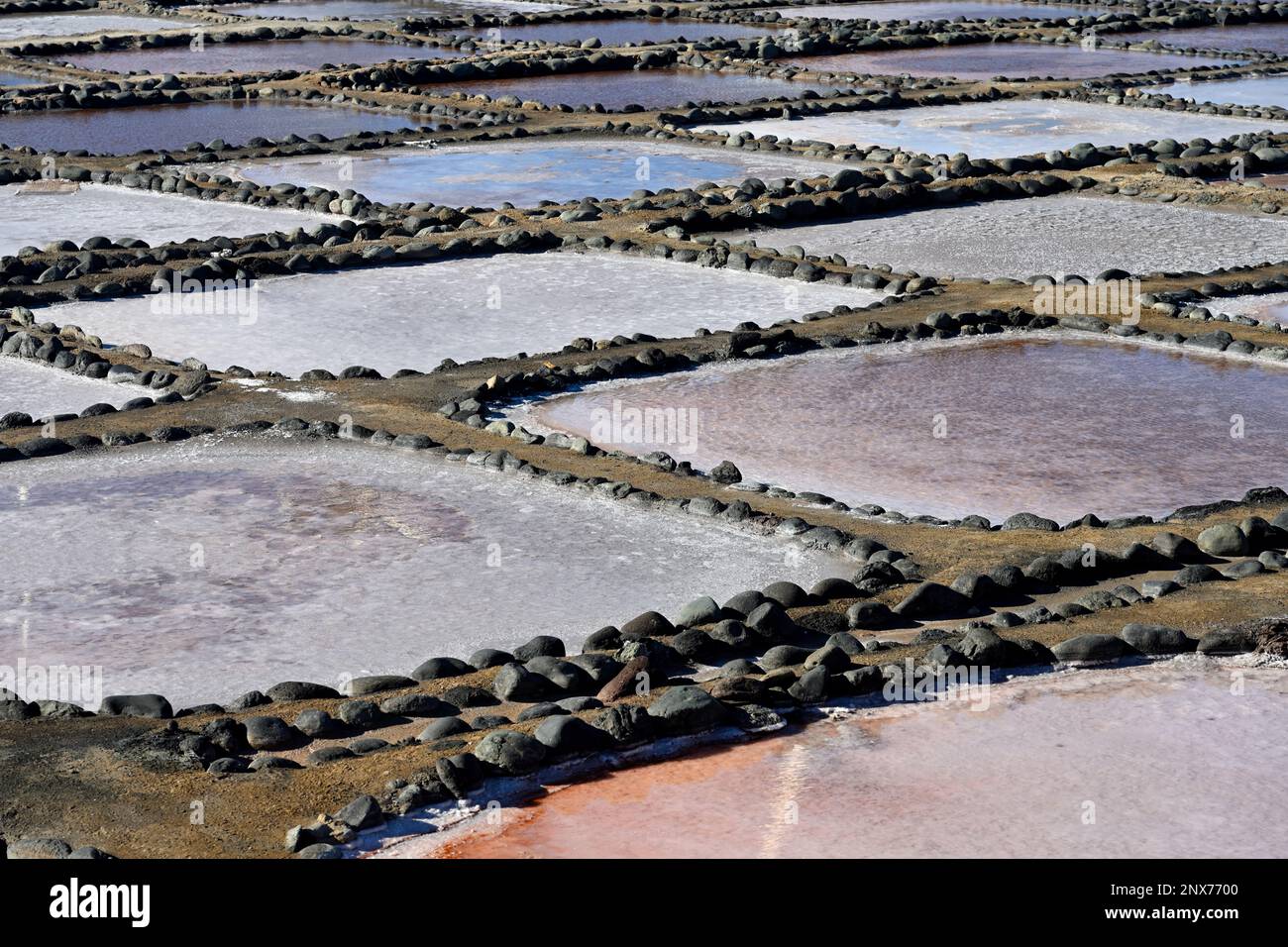 Traditional sea salt evaporation drying pans with walkways between in ...