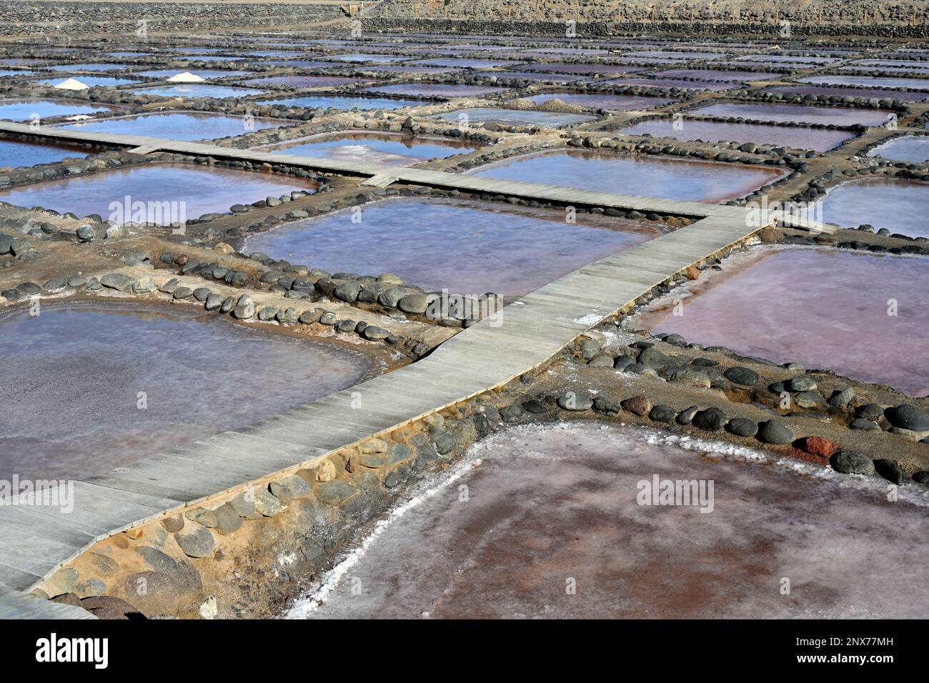 Traditional sea salt evaporation drying pans with walkways between in ...