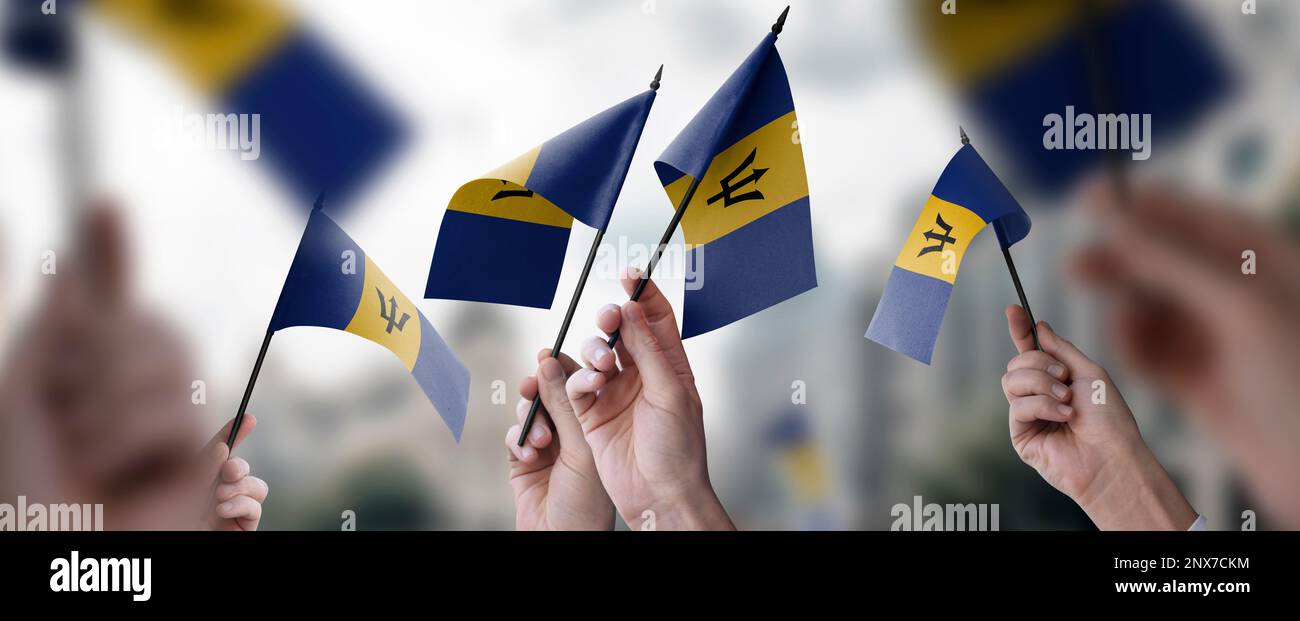 A group of people holding small flags of the Barbados in their hands ...