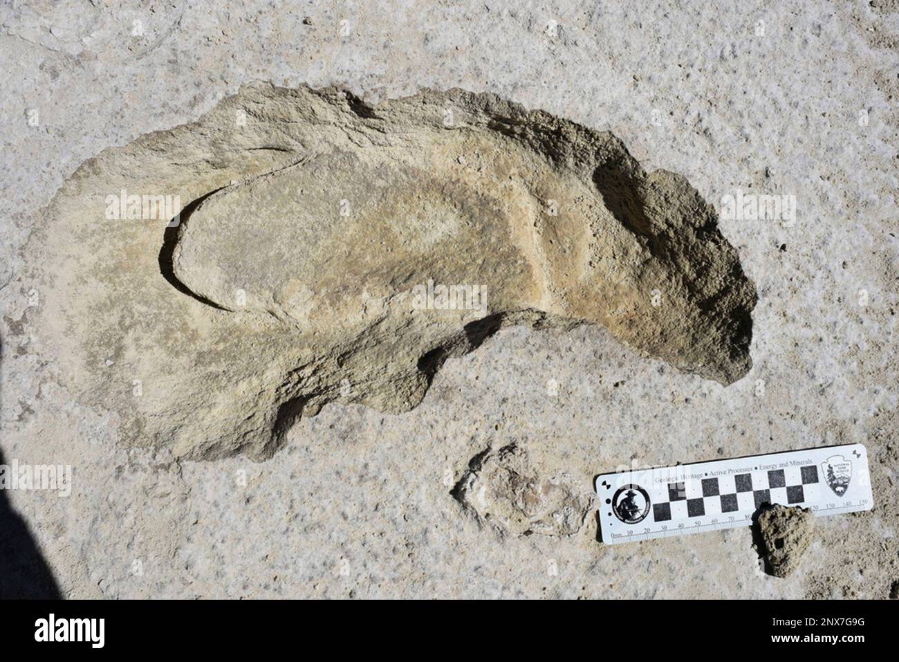 This undated photo provided by the National Park Service shows a human ...