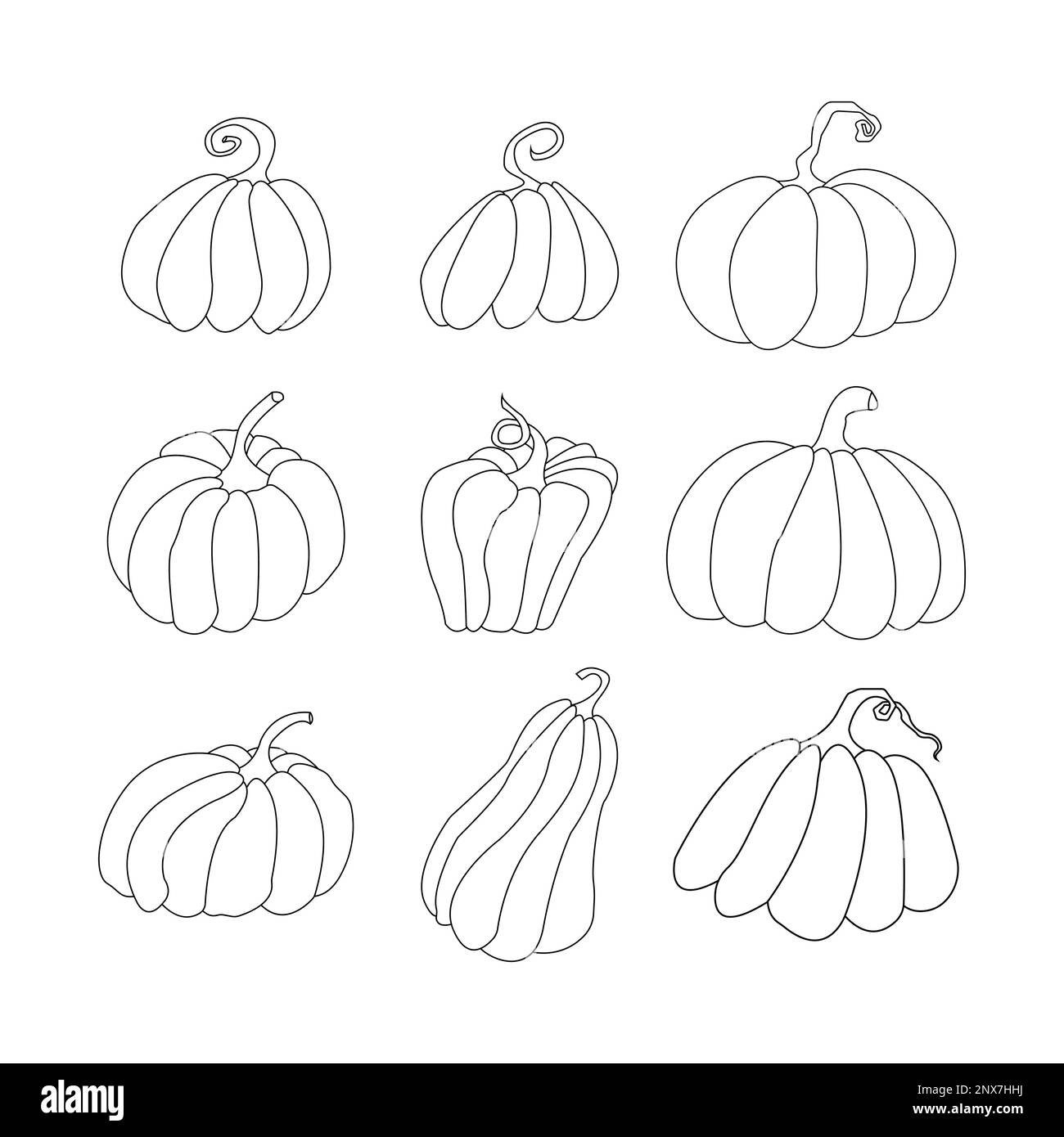 Vector line icon for pumpkin. Vector ESP10 Stock Vector Image & Art - Alamy