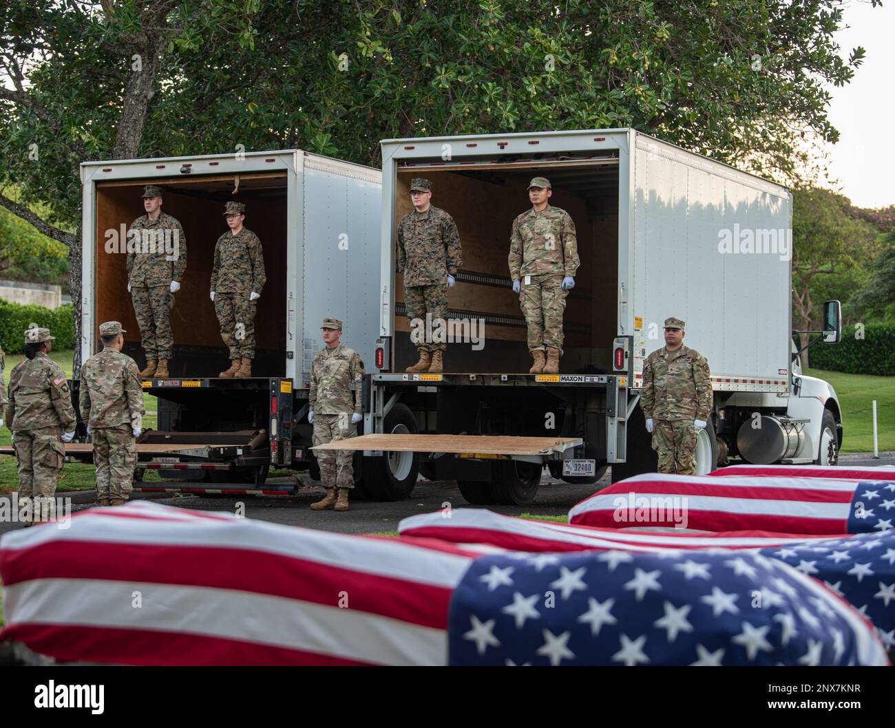 Members of the Defense POW/MIA Accounting Agency (DPAA) participate in ...