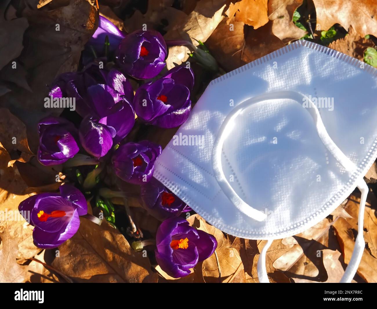 Purple mask hi-res stock photography and images - Alamy