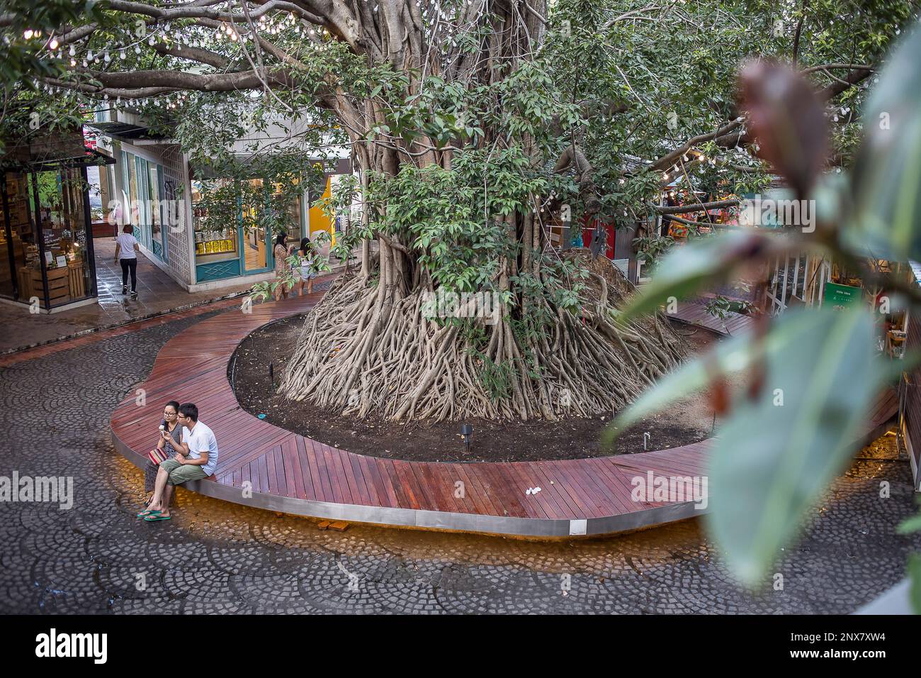 Think Park, sopping mall, Nimmanhaemin road, Chiang Mai, Thailand Stock ...