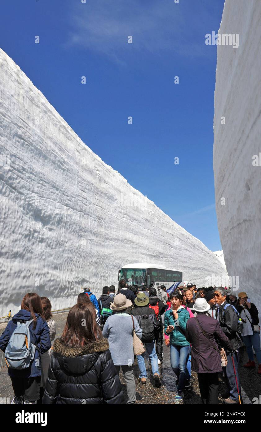 People enjoy viewing the about 20-meter snow walls of the Yuki no Otani ...