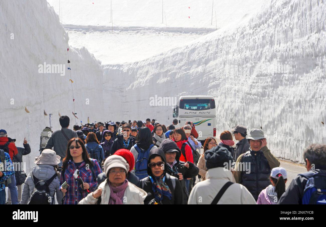 People enjoy viewing the about 20-meter snow walls of the Yuki no Otani ...