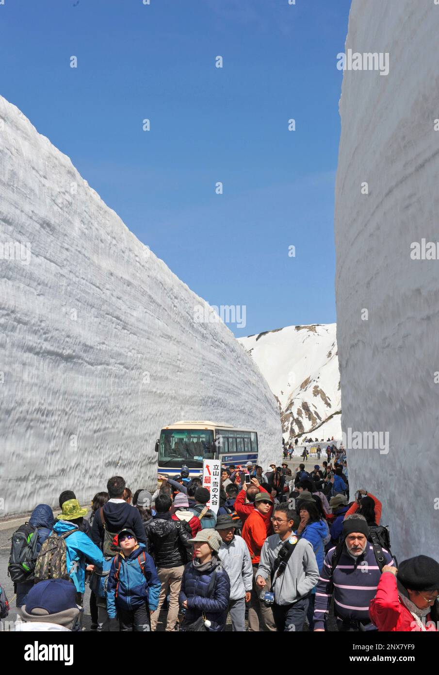 People enjoy viewing the about 20-meter snow walls of the Yuki no Otani ...