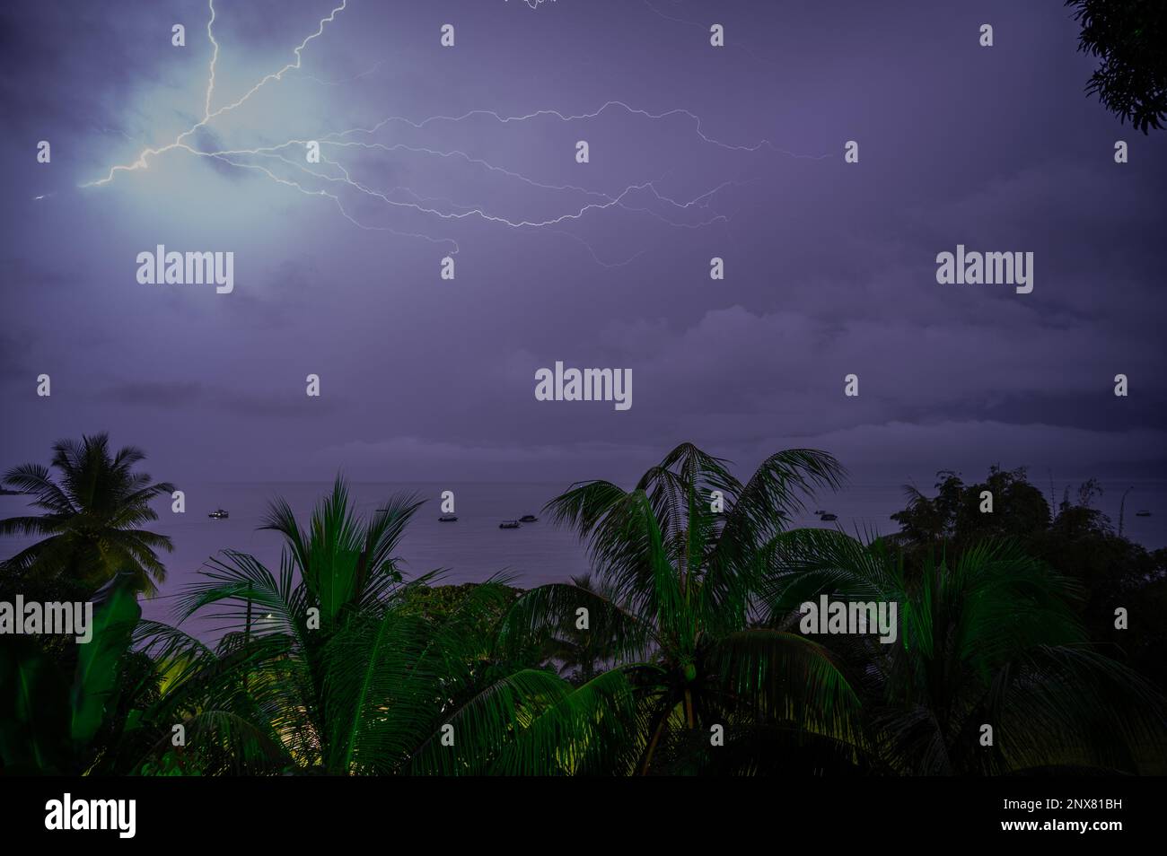 Lightning storm tree silhouette hi-res stock photography and images - Alamy