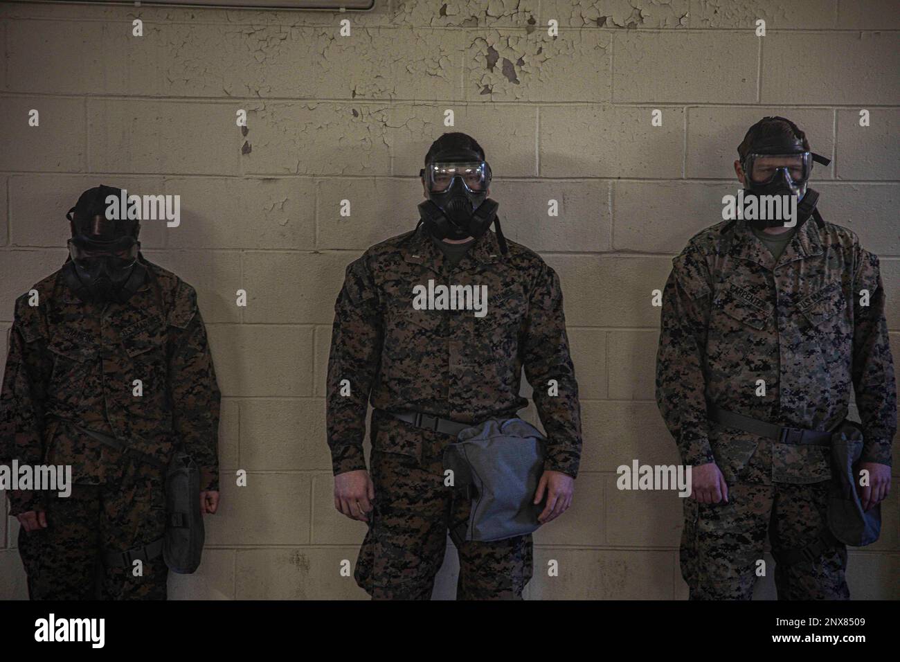 U.S. Marines assigned to the 24th Marine Expeditionary Unit participate ...