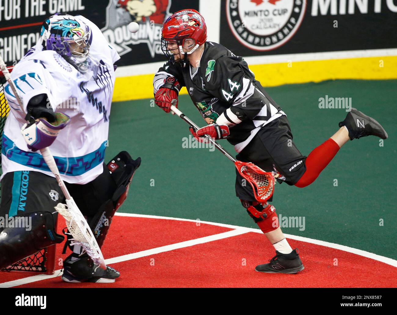 NLL (National Lacross League) player profile photo on Calgary ...