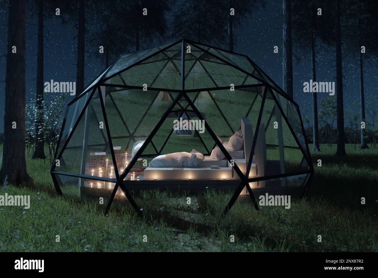 3D rendering of geodesic dome hut with glass panels in front of pine ...