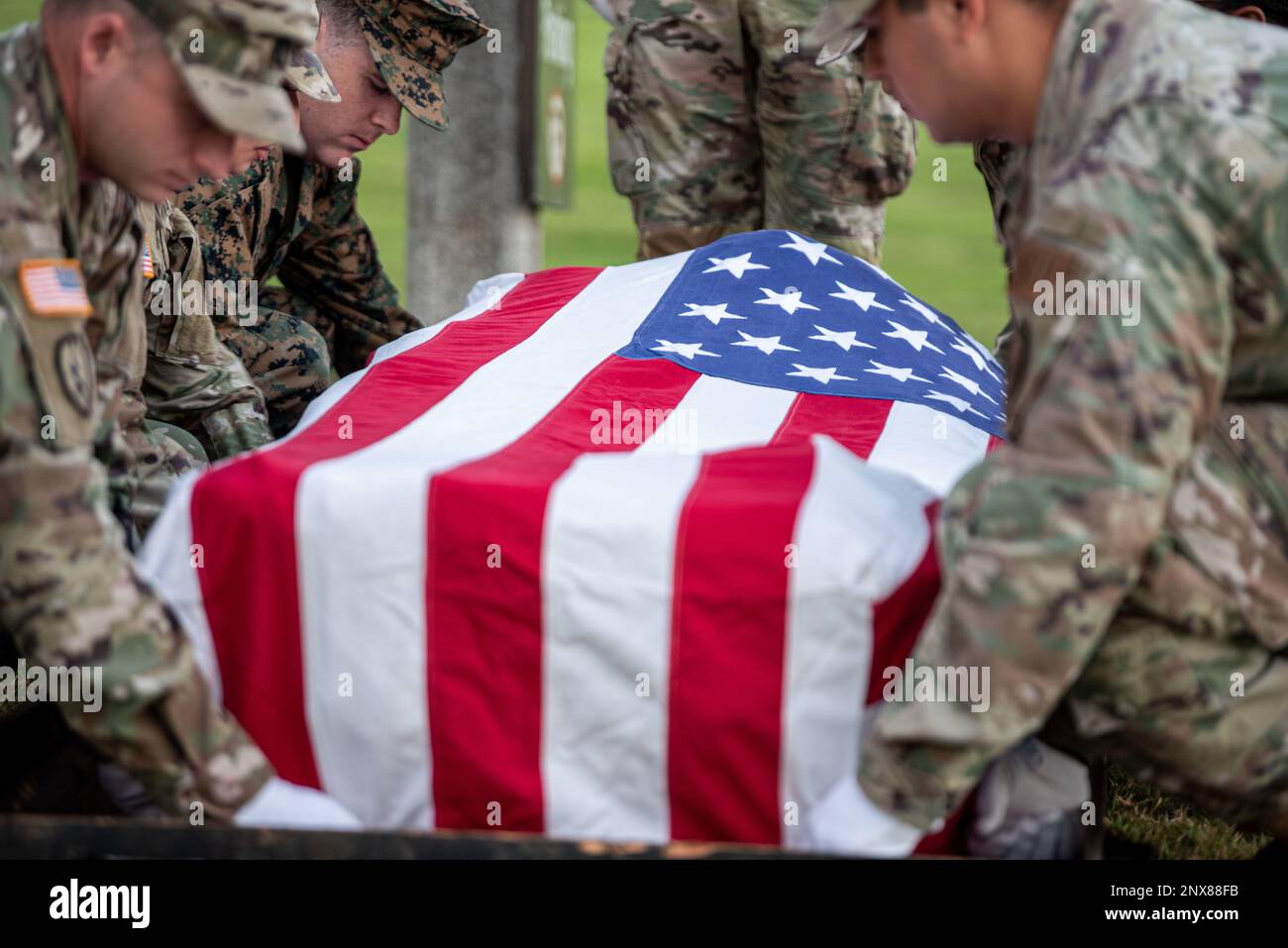 Members of the Defense POW/MIA Accounting Agency (DPAA) participate in ...