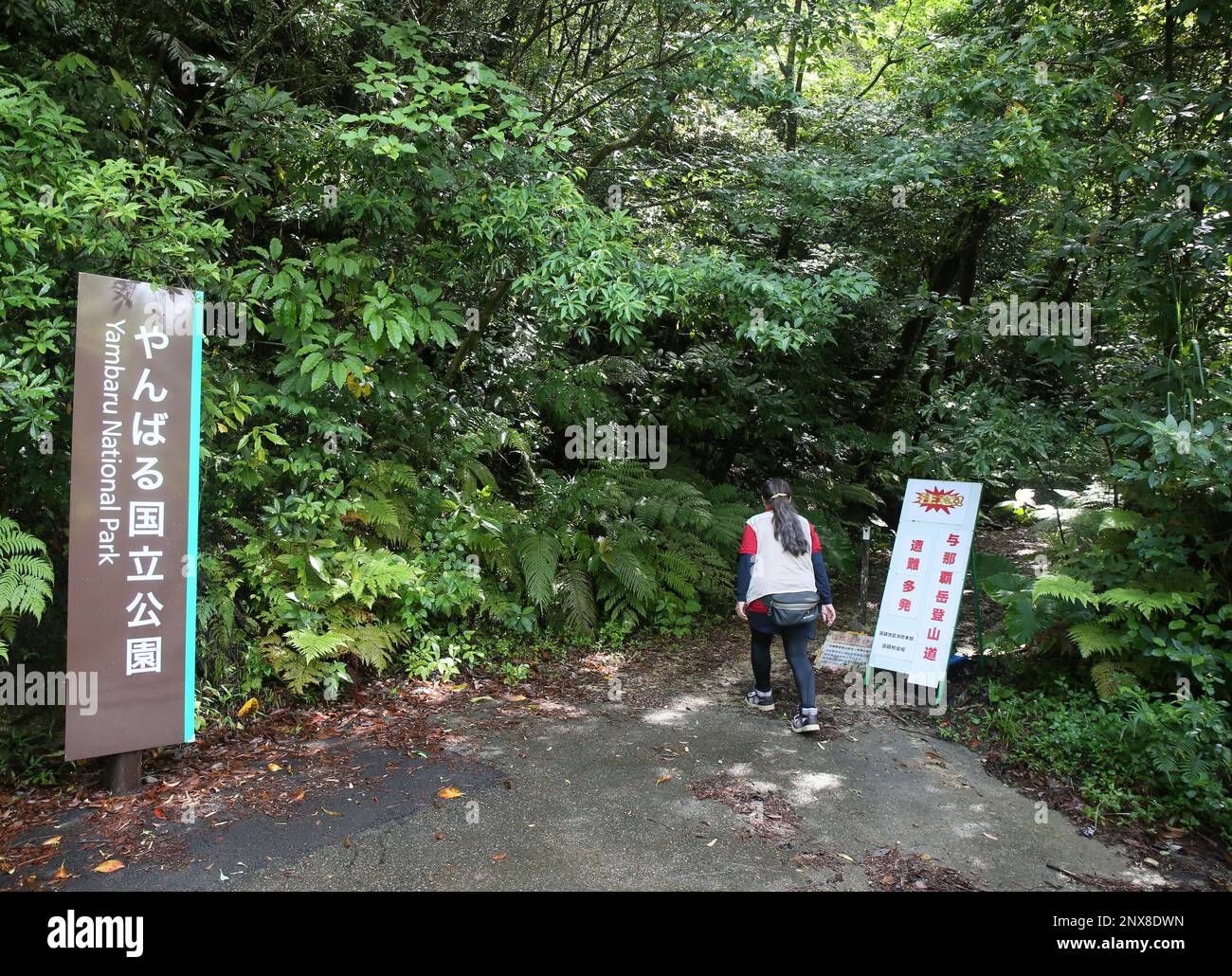 A photo taken on April 18, 2018 shows a promenade at Yanbaru National ...