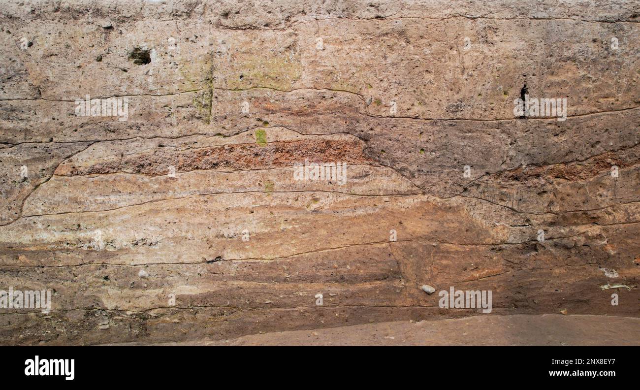 ZHENGZHOU, March 1, 2023 (Xinhua) -- This photo taken on Feb. 28, 2023 ...