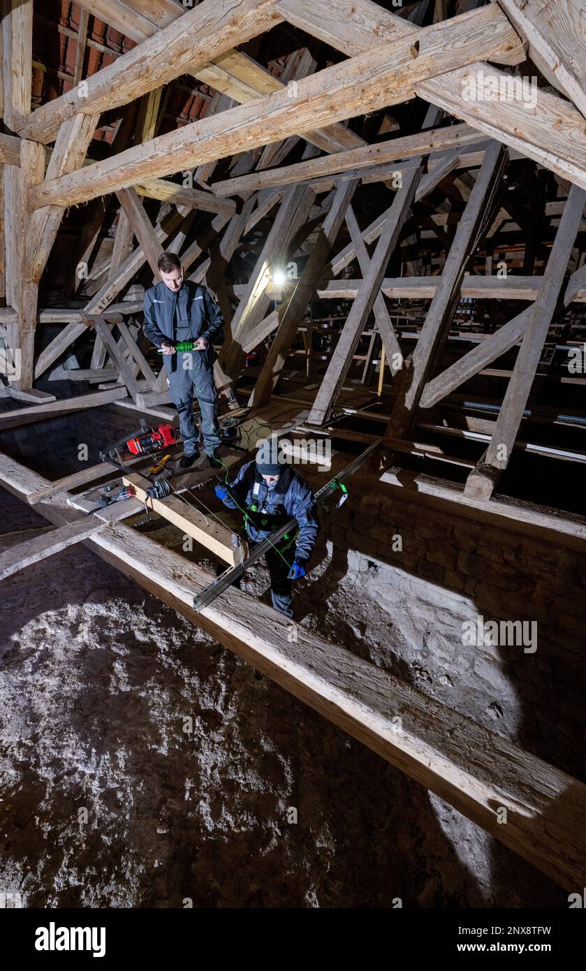 01 March 2023, Saxony-Anhalt, Naumburg (Saale): Above the historic vault of the cathedral in ...