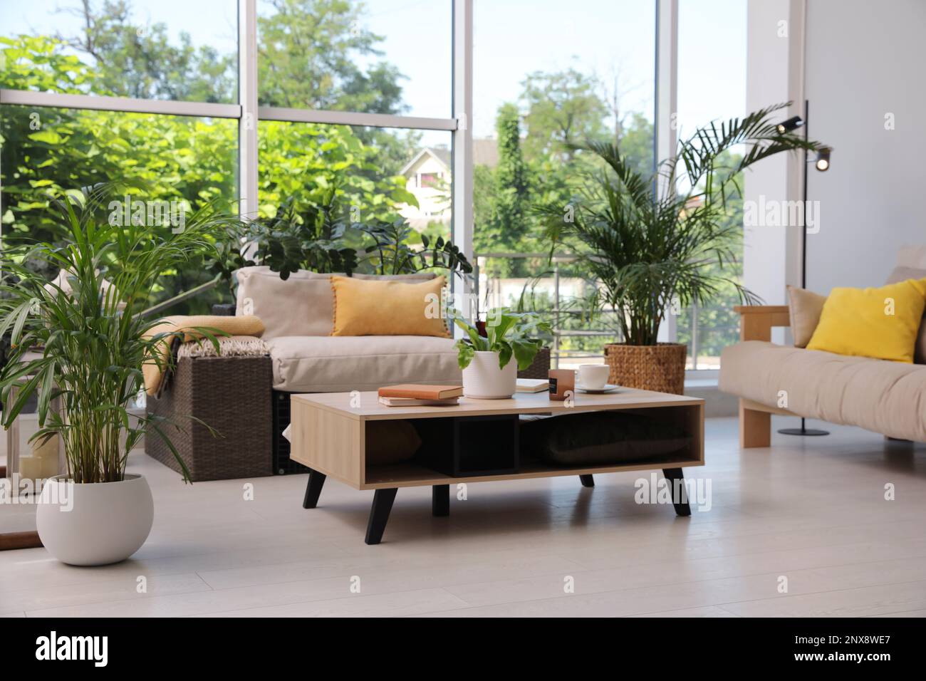 Indoor terrace interior with modern furniture and houseplants Stock ...
