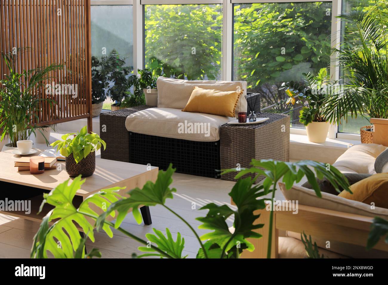 Indoor terrace interior with modern furniture and houseplants Stock ...